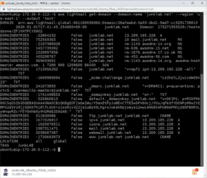 [Lightsail] AWS CLI를 이용한 DNS 수정 – JunkLAB