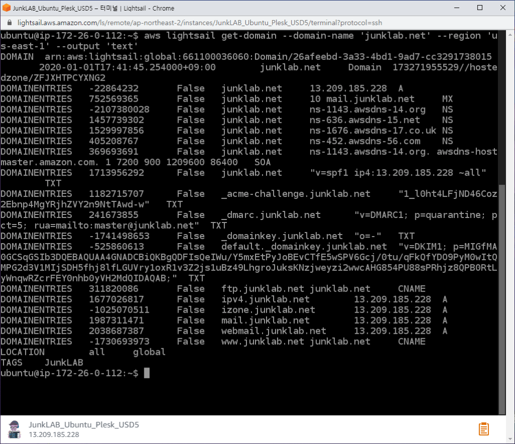 [Lightsail] AWS CLI를 이용한 DNS 수정 – JunkLAB